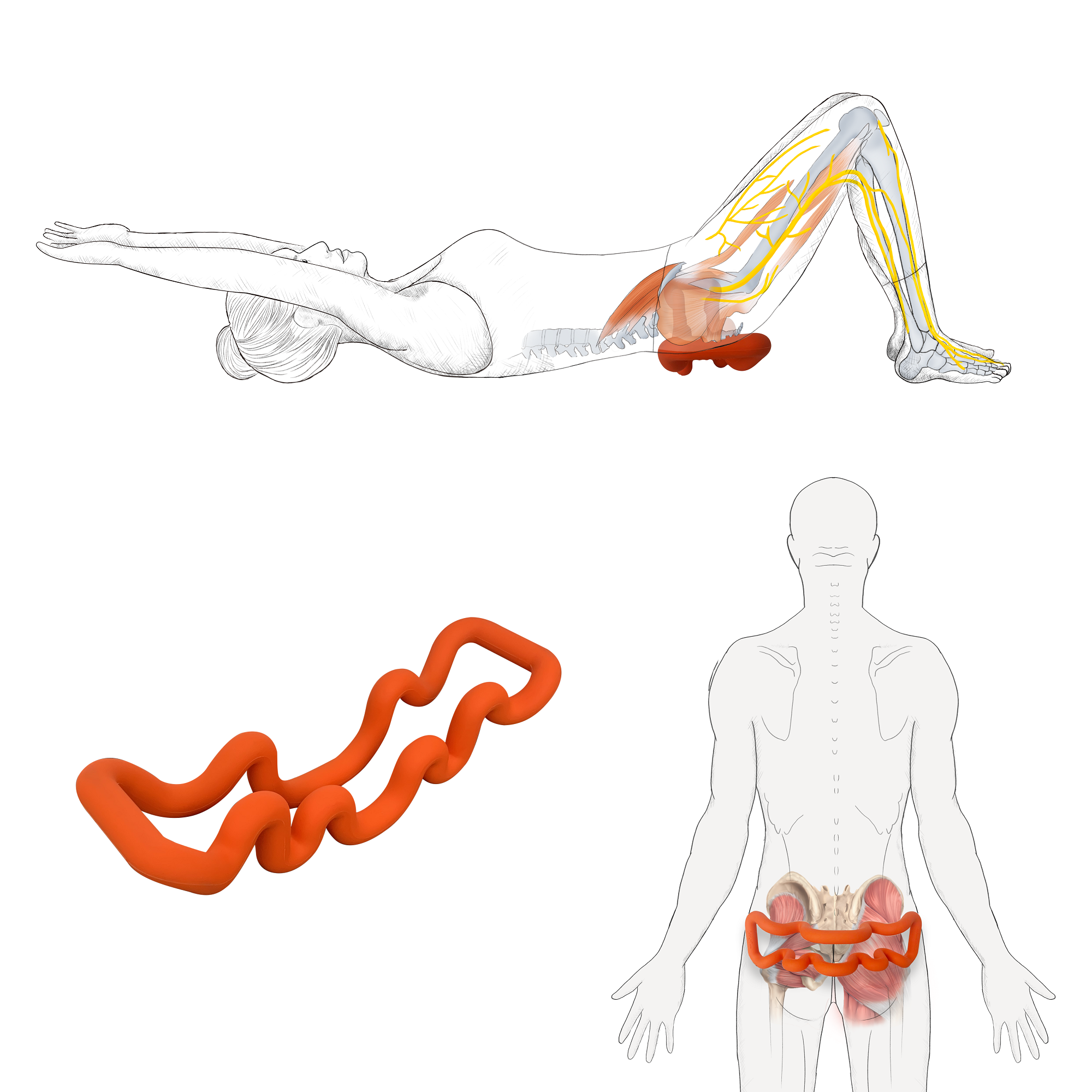 Back Deep Tissue Massager Knots Remover Psoas Massager Gluteus Massager Myofascial Release